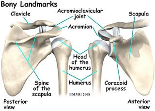 Weightlifter's shoulder Welwyn Garden City | Clavicle Injuries St ...